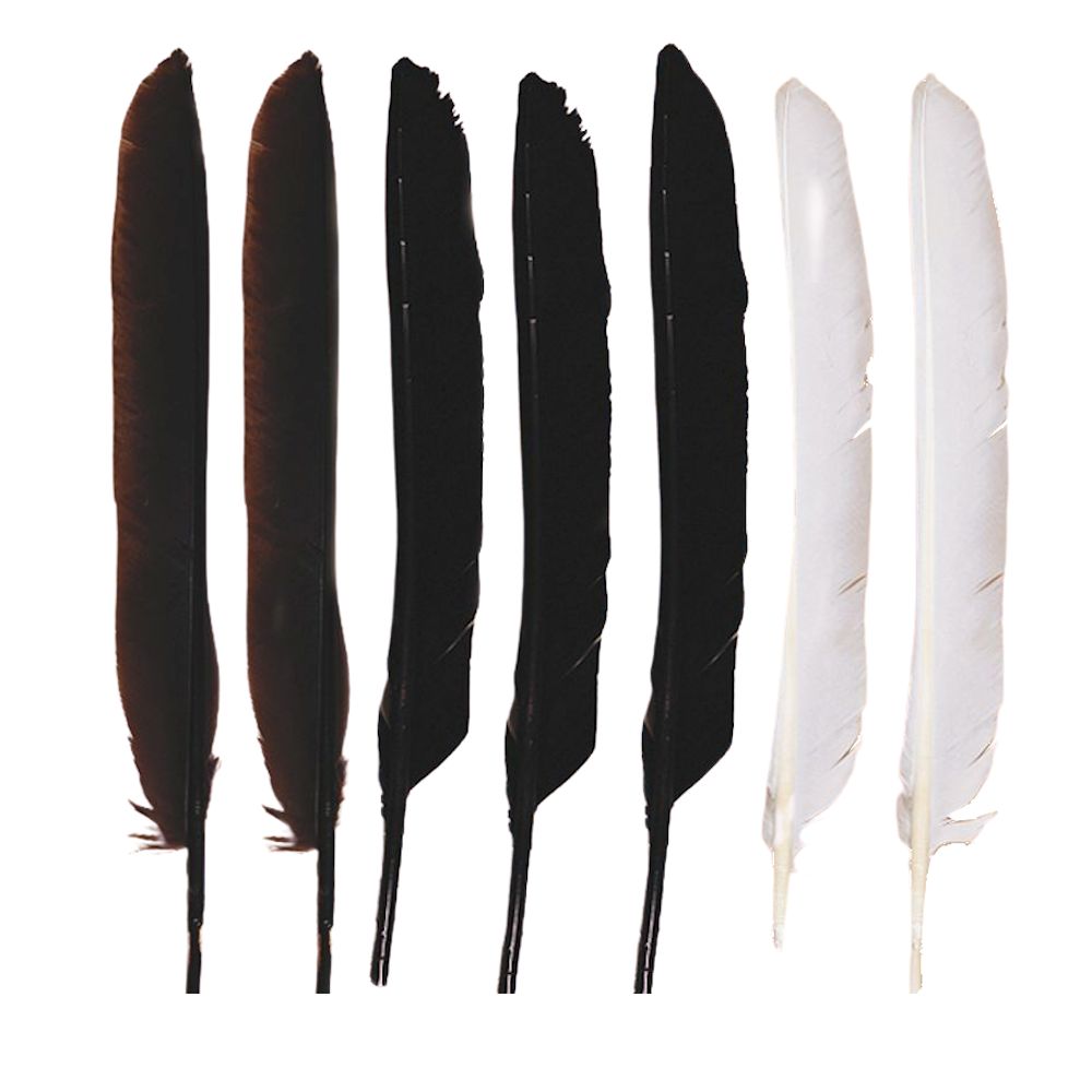 Turkey Wing Spikes - Select 12"-14" - Per Dozen | Turkey Feathers ...