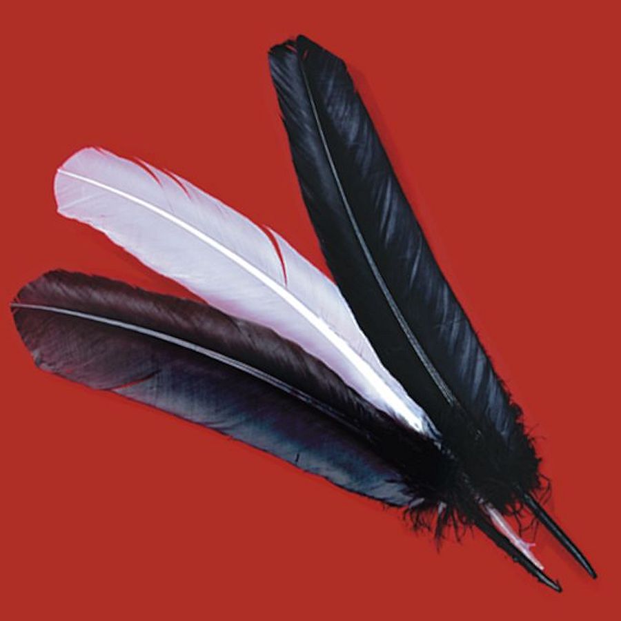 Select 12"-14" Turkey Wing Feathers | Turkey Feathers | Crazy Crow ...