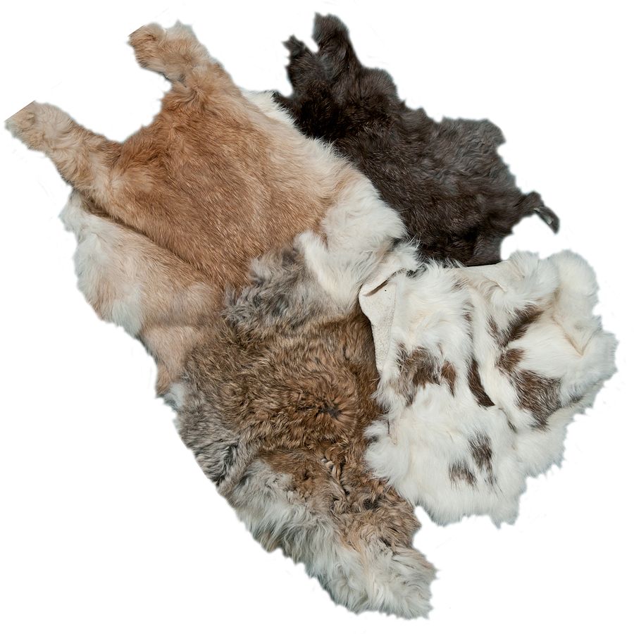 Rabbit Skins - Craft Grade, Natural Colors | Rabbit Furs | Crazy Crow ...