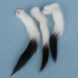 Ermine Hides 12"+ - Craft Grade with Tails