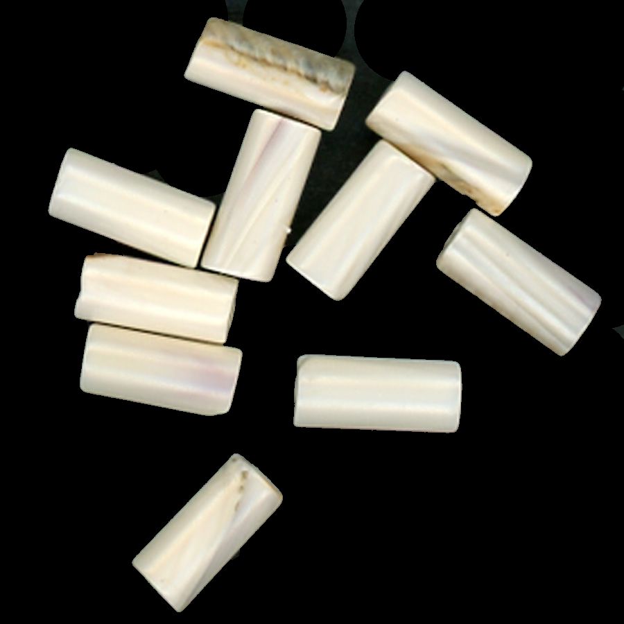 Quahog Wampum- Tube White 7.5 x 3mm | Crazy Crow Trading Post
