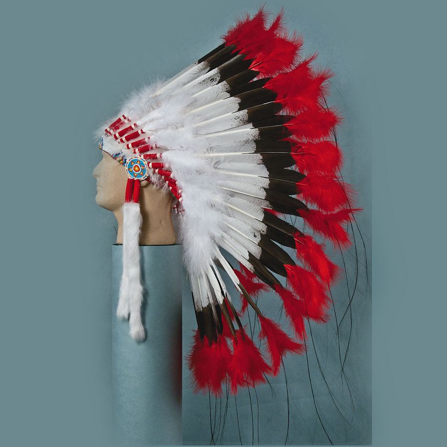 Deluxe Warbonnet, Hand Painted Eagle Feathers - Red - White | Crazy ...