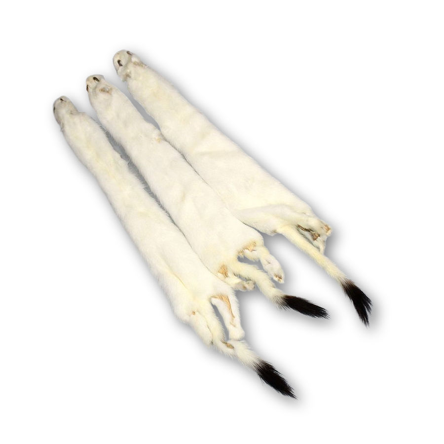 Ermine Skins 10"-14" - 1st Quality Ermine Furs with Tails