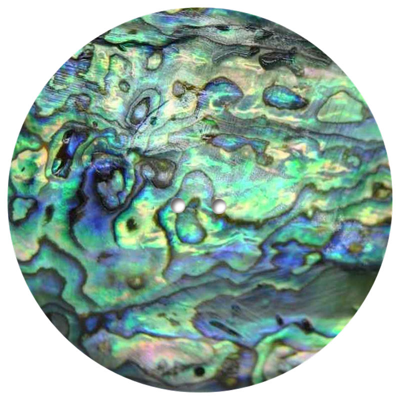 Paua Shell Disc -3", 2 Hole | Crazy Crow Trading Post