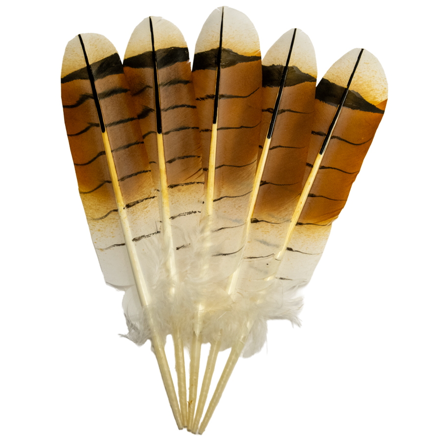 Red-Tail Hawk 5-Feather Fan Set | Crazy Crow Trading Post