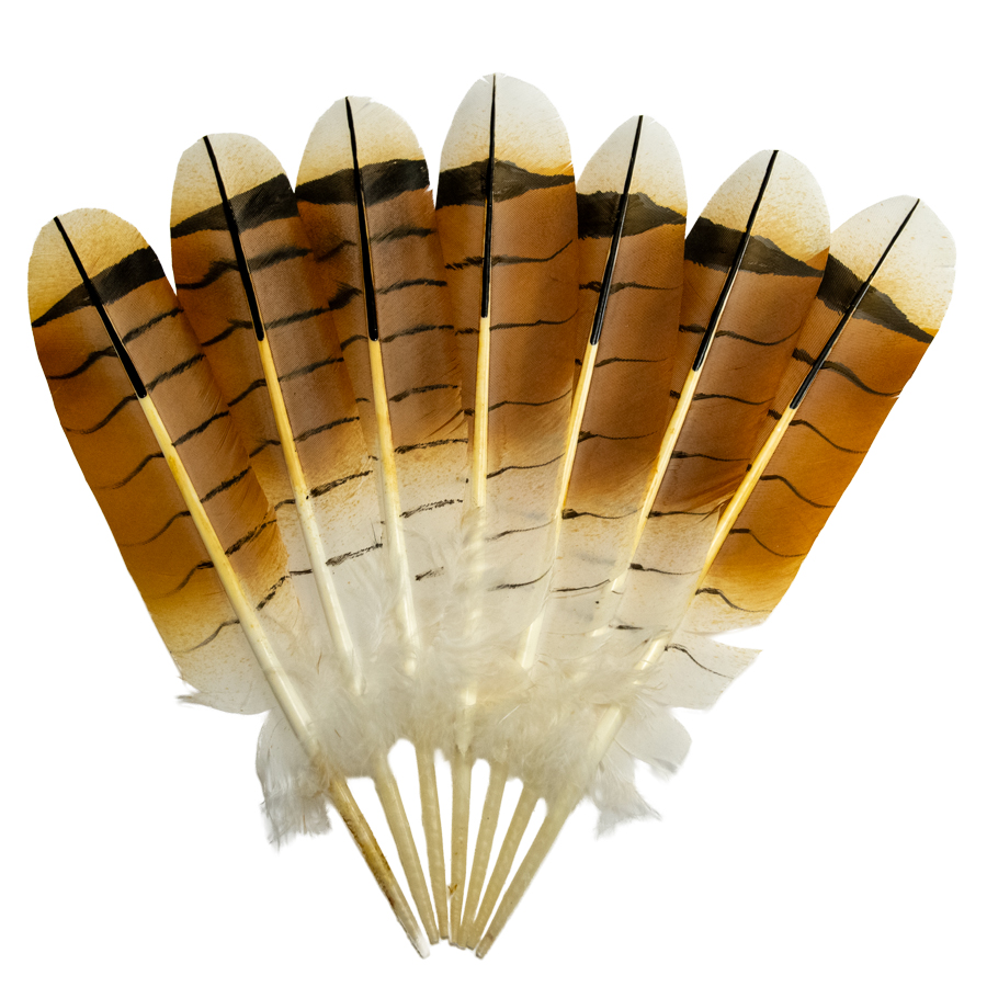 Red-Tail Hawk 7-Feather Fan Set | Crazy Crow Trading Post