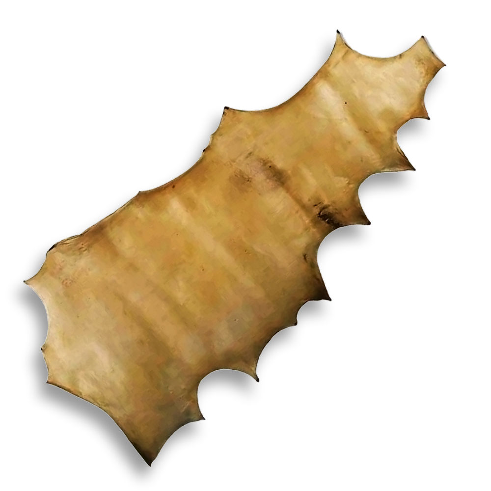 Rawhide Whole Sides (18-24 sf) | Craft Leather | Crazy Crow Trading Post