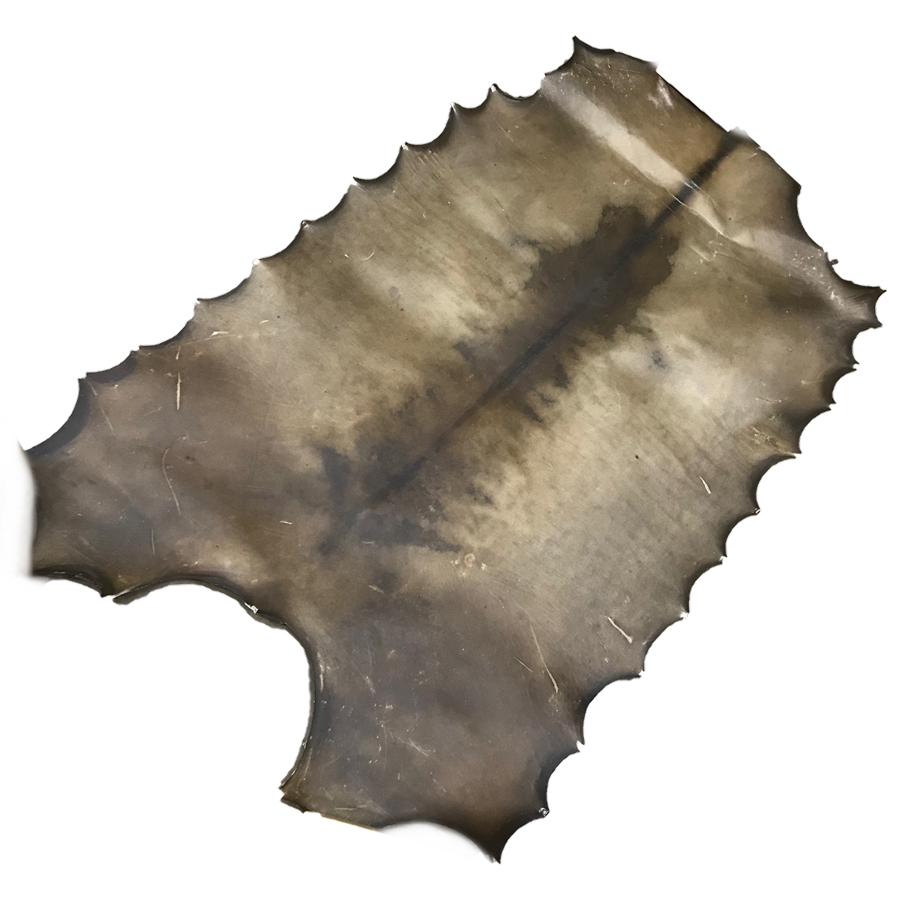 Buffalo Rawhide, Natural (aprox 28-30 sf) | Crazy Crow Trading Post