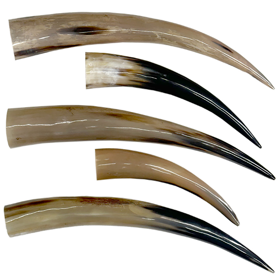 Straight Polished Cow Horns | Crazy Crow Trading Post