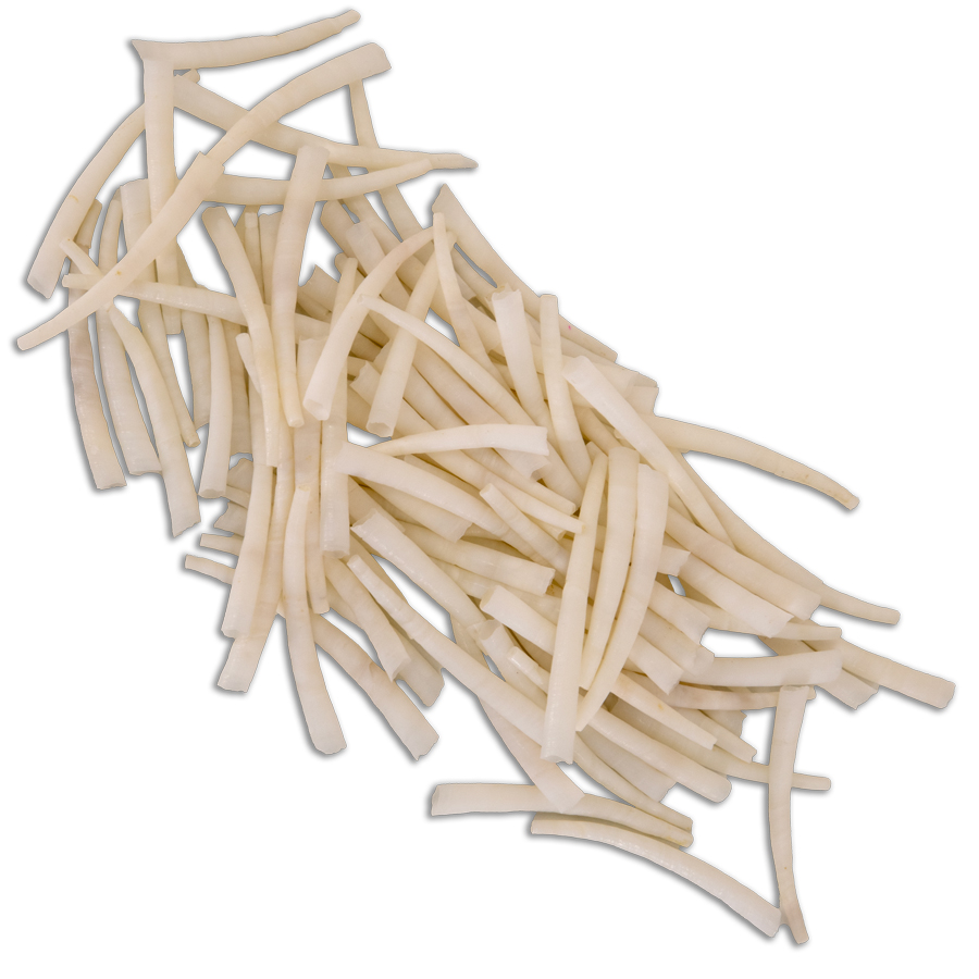 Large Smooth Dentalium Shells | Crazy Crow Trading Post