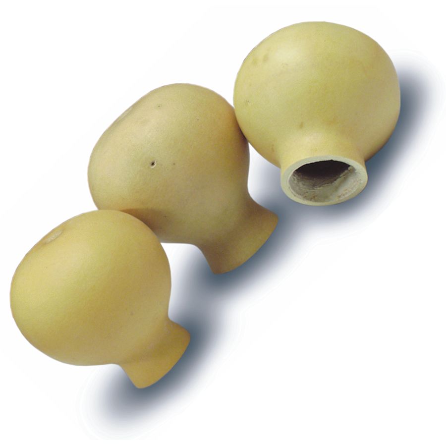 Bell Gourds for Rattles | Crazy Crow Trading Post