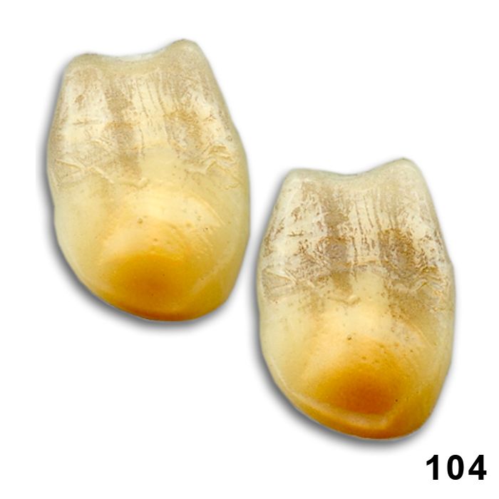 Replica Elk Teeth (Pairs) Style 4 | Crazy Crow Trading Post