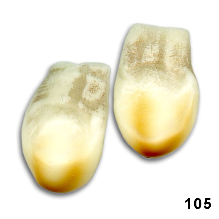 Replica Elk Teeth (Pairs) Style 4 | Crazy Crow Trading Post