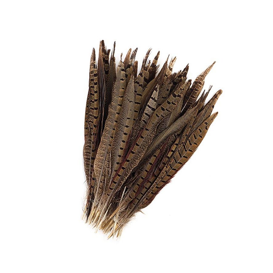 Ringneck Pheasant Tail Feather 10-12" | Pheasant Feathers | Crazy Crow ...