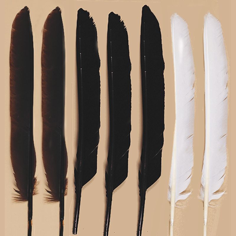 Turkey Wing Spikes - Select 14"+ Long - Per Dozen | Turkey Feathers ...