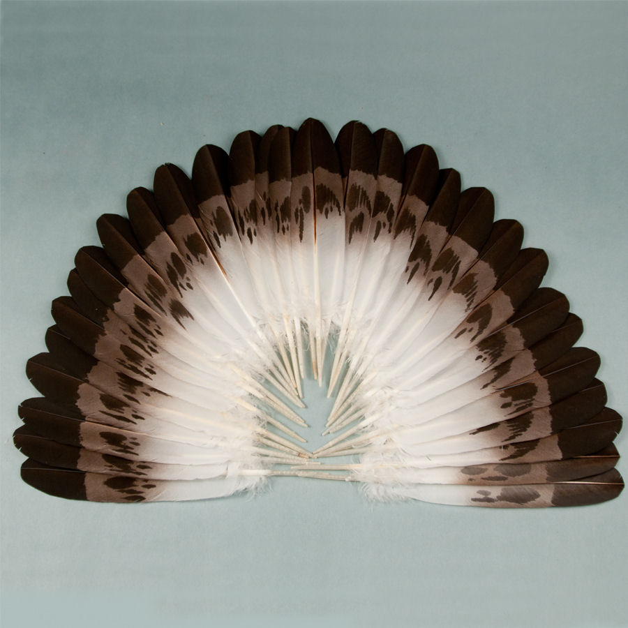 Semi-Mature Golden Eagle 30-Feather Bonnet Set | Hand Painted Eagle ...
