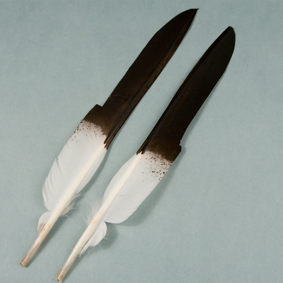 Hand Painted Golden Eagle Spikes, Matched Pairs | Crazy Crow Trading Post