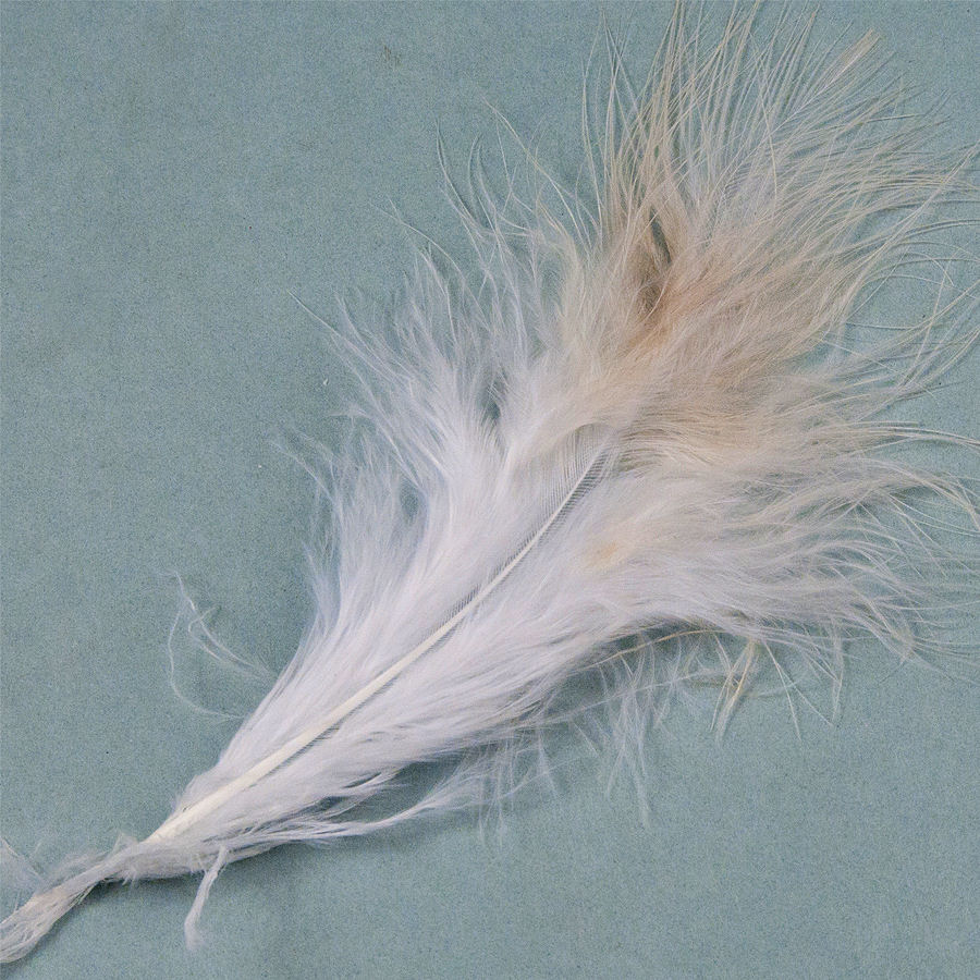 Hand Painted Imitation Eagle Fluffs | Eagle Feathers | Crazy Crow ...