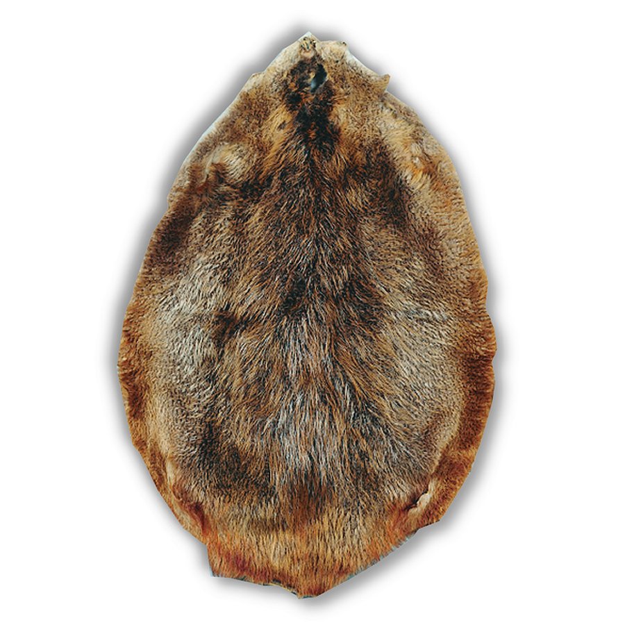 Beaver Hides - Medium Approx. up to 30" | Crazy Crow Trading Post