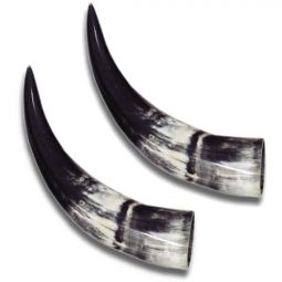 Crazy Crow Trading Post: Steer Horns