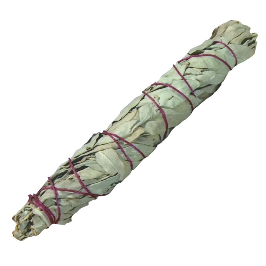 White Sage Smudge Sticks, 8-1/2"x-1/2" | Native American Herb Use
