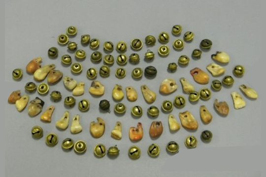 Hawk Bells: From European Falconry to American Trade Goods