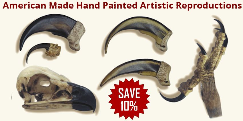 What's New at Crazy Crow Trading PosT? New Products, Services & Specials