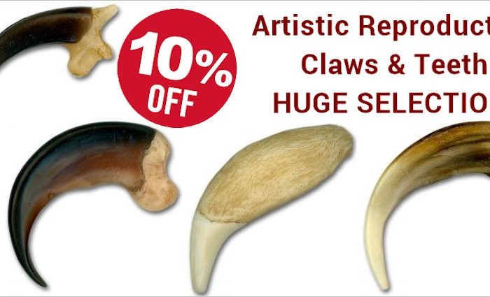 Featured Crazy Crow Products - Crazy Crow Trading Post