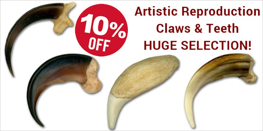 Hand Painted Artistic Reproduction Claws Sale - Save 10% thru 4/30/17